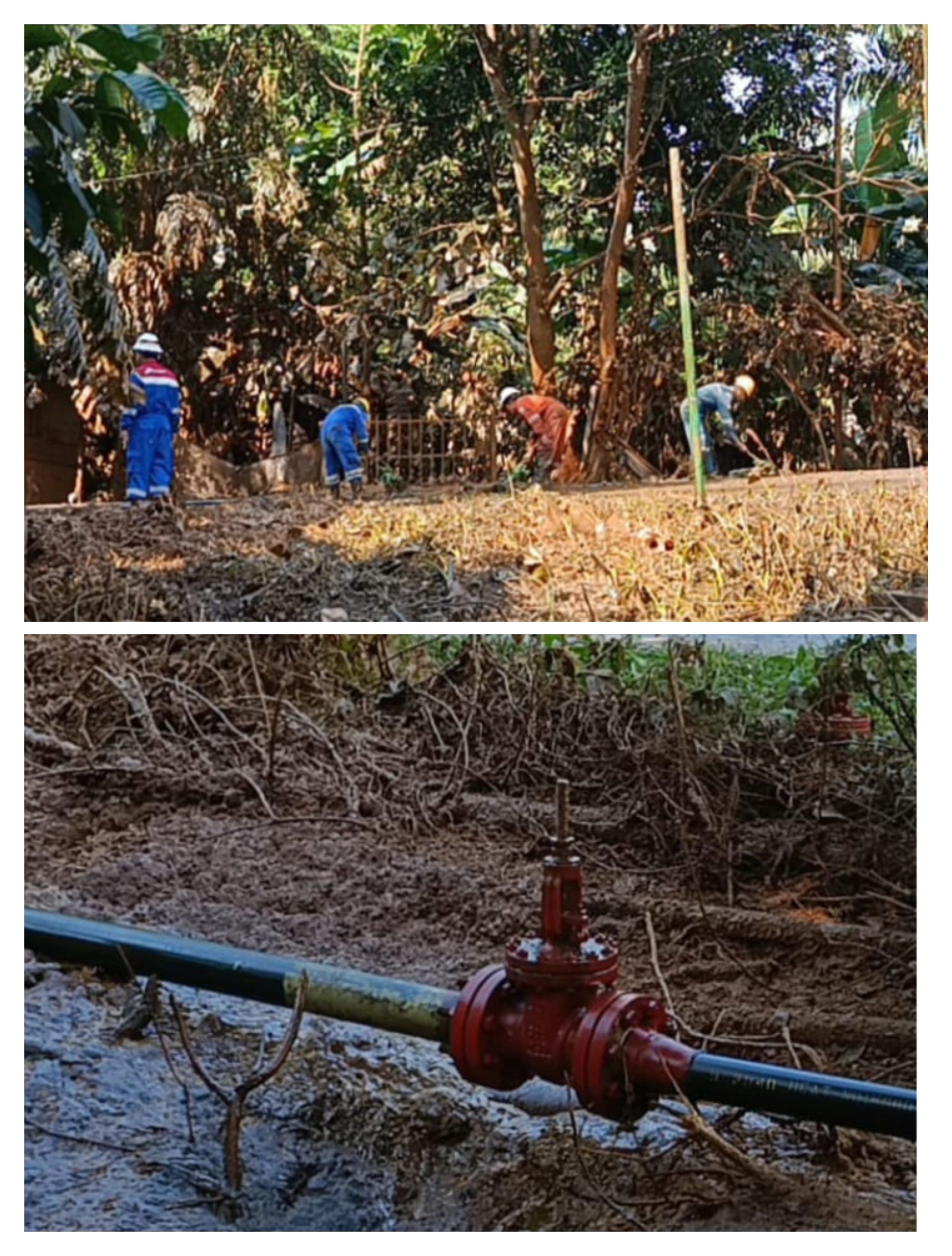 Semburan Minyak dari Pipa Diduga Milik PT Pertamina Adera semburi Kebun dan Jalan Raya di Tanah ...